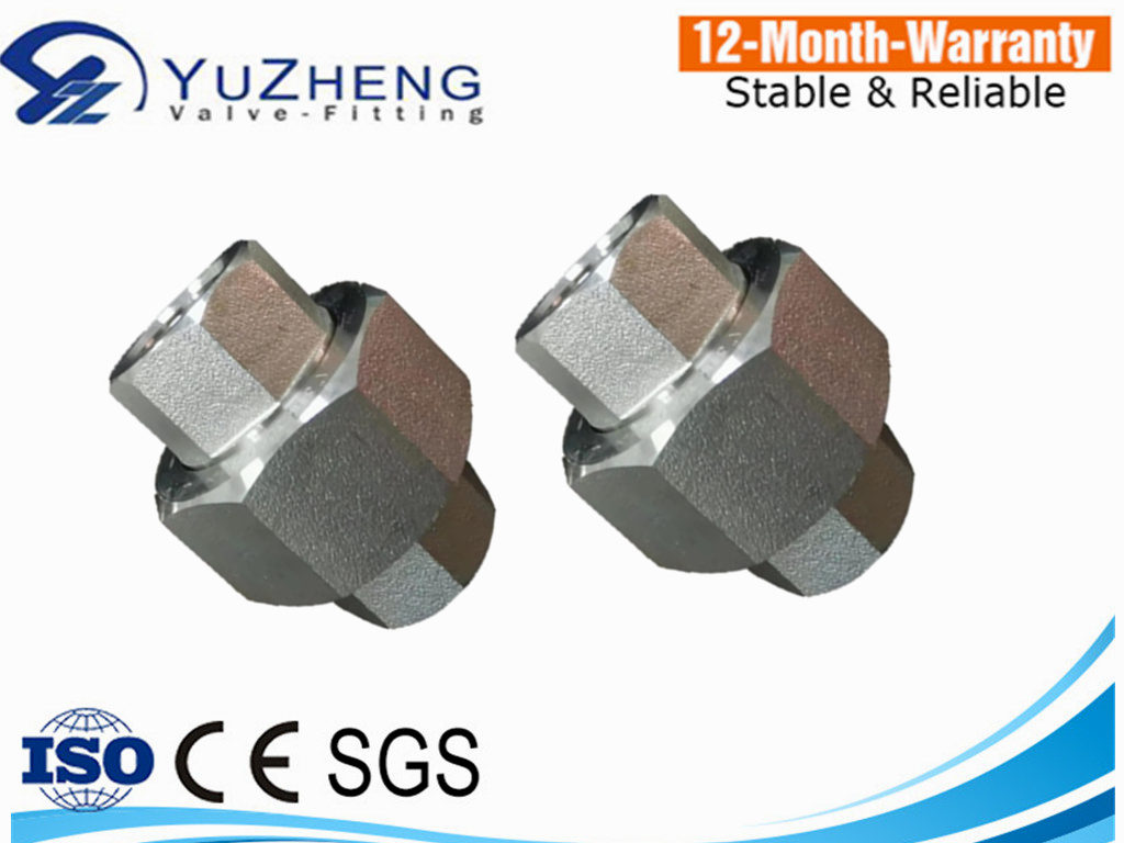 SS304/316 Stainless Steel 2000LB Thread High Pressure Union - Buy ...