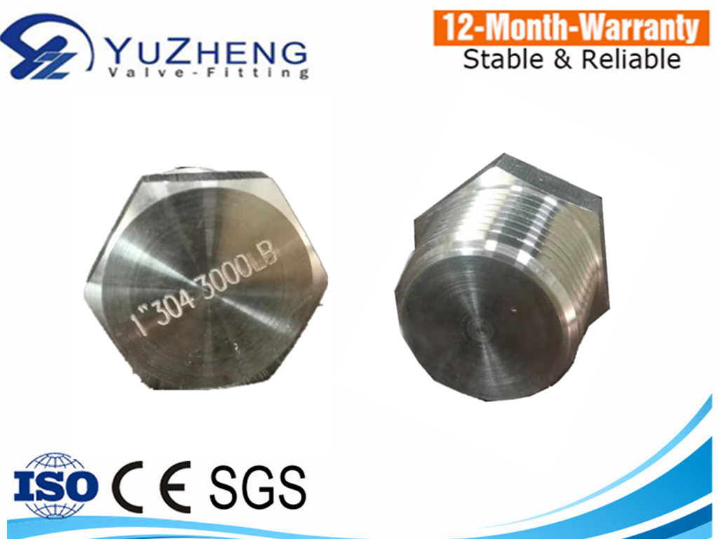 Casting Stainless Steel 3000LB High Pressure Thread Hexagon Plug - Buy ...